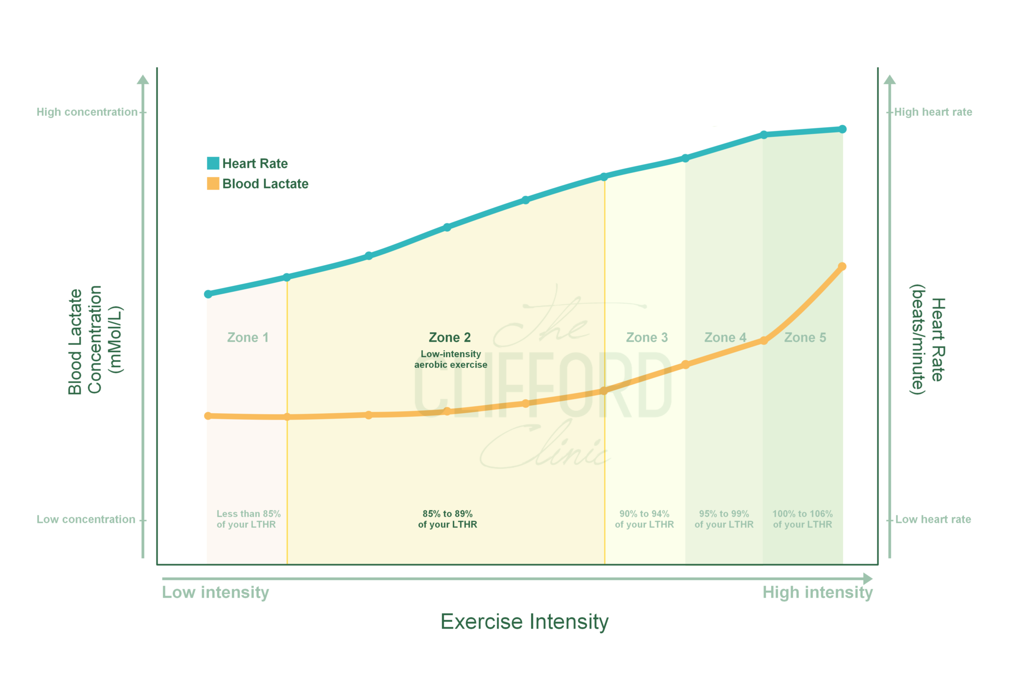 Optimize Your Workout With Our Lactate Test In Singapore
